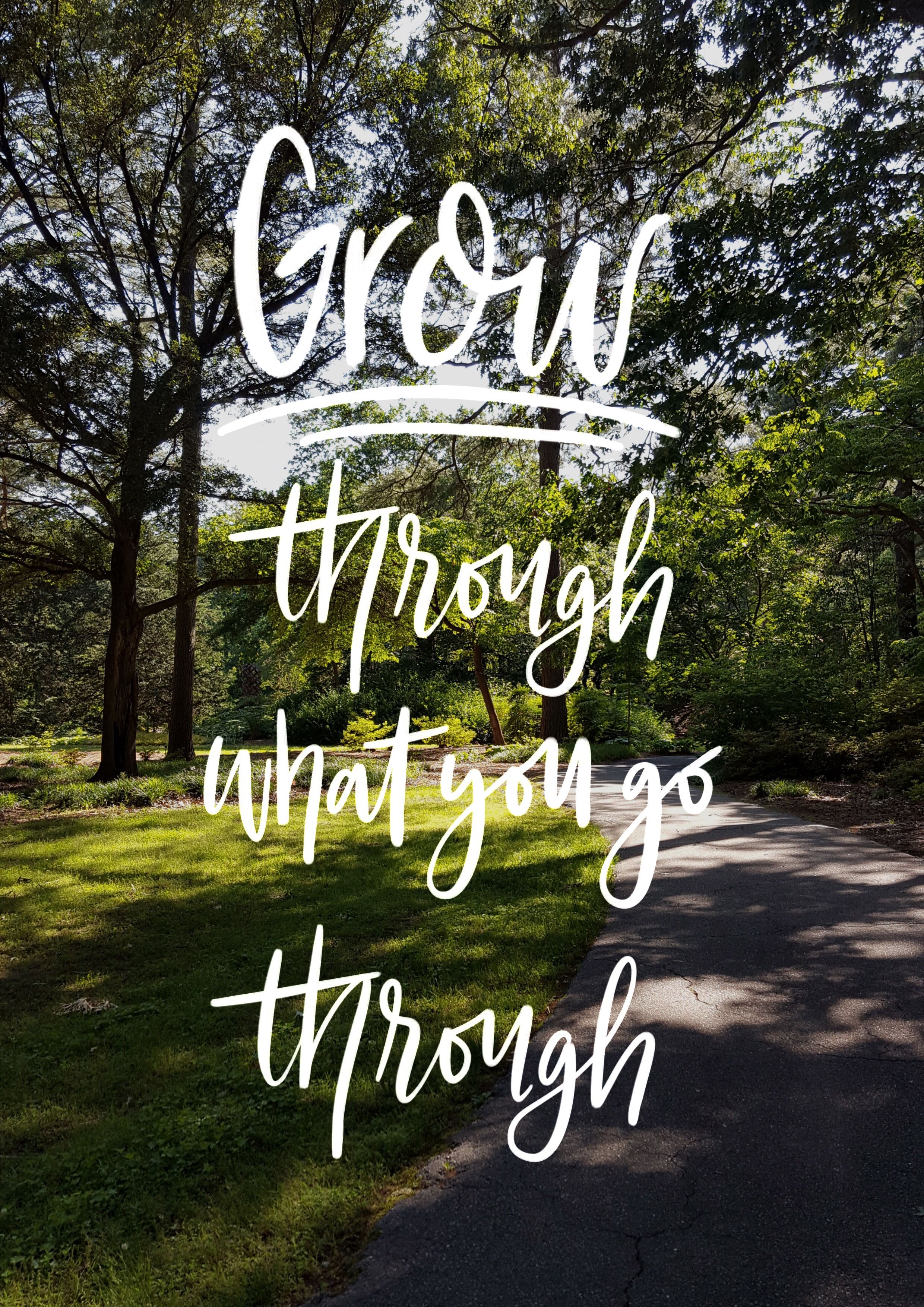 The Giving of Care | To ourselves and to others